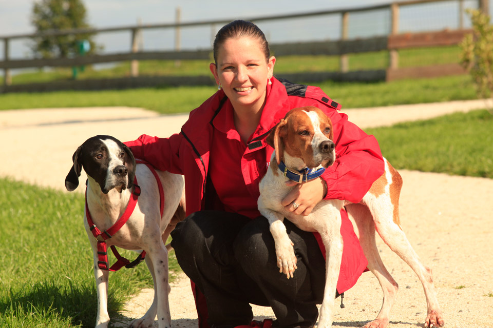 Eigene Erfahrungen | Pointer-Freunde e.V.