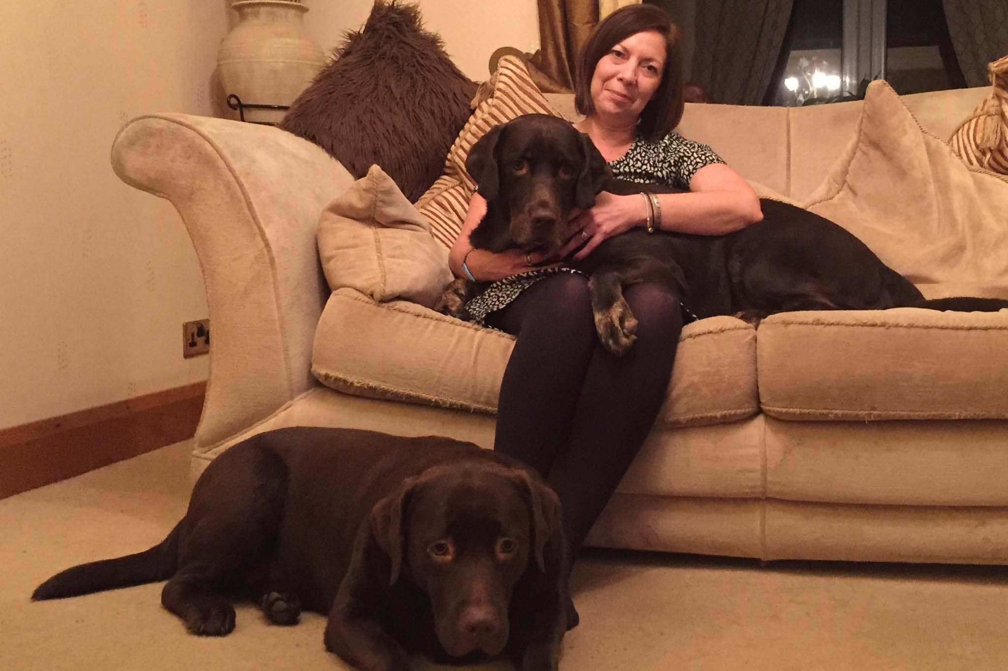 Team Pointer-Freunde e.V. | Pointer-Freunde e.V.