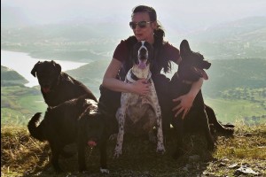 „Kasia“ Latusek | Pointer-Freunde e.V.